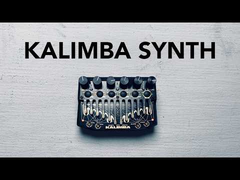 The BASTL Kalimba Synthesizer is completely unique and very cool