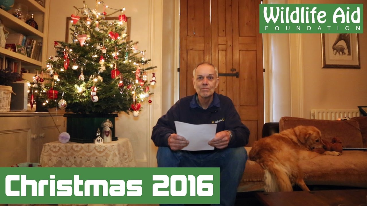 A Christmas poem from Simon Cowell - YouTube