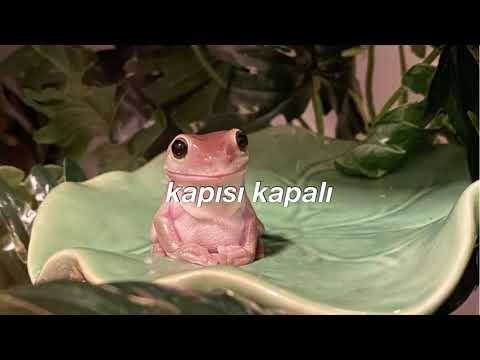 kapısı kapalı - adamlar | slowed + reverb