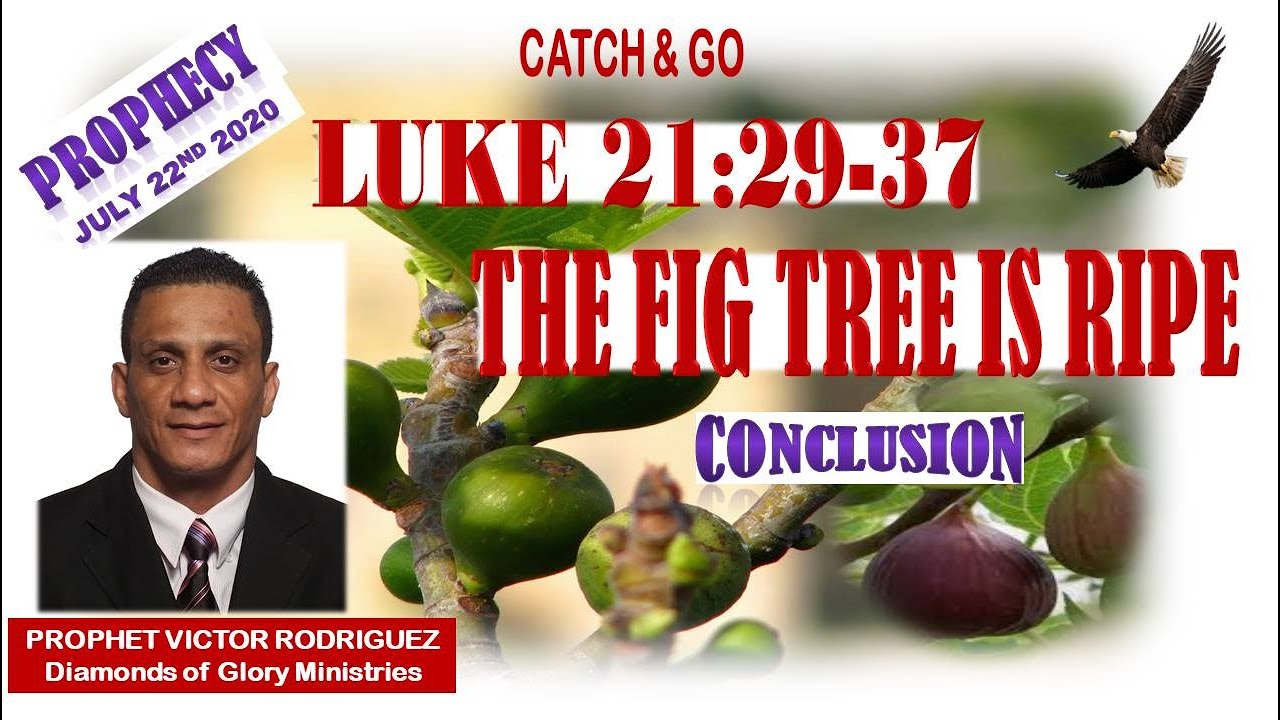 THE FIG TREE IS RIPE - LUKE 21:29-37 (PROPHECY - JULY 22nd, 2020 ...