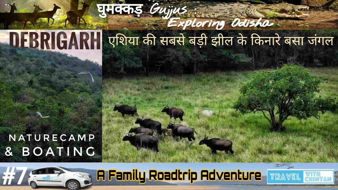 Debrigarh Wildlife Sanctuary | Debrigarh Nature Camp | Debrigarh Island ...