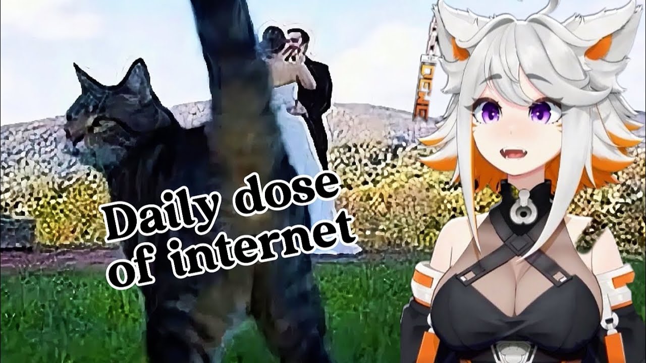 Deme reacts | Daily dose of internet try not laugh - YouTube