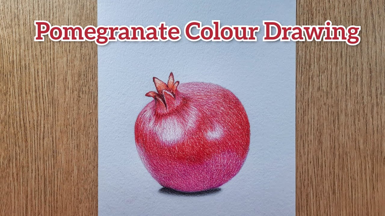 Pomegranate Colour Drawing for beginners | How to Draw Pomegranate ...