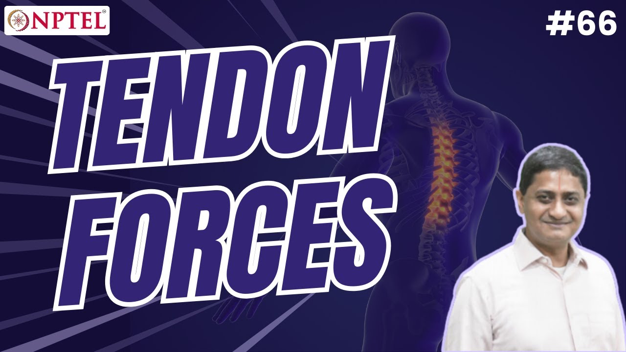 #66 Tendon Forces & Factors Affecting Tendon Property | Biomechanics - YouTube