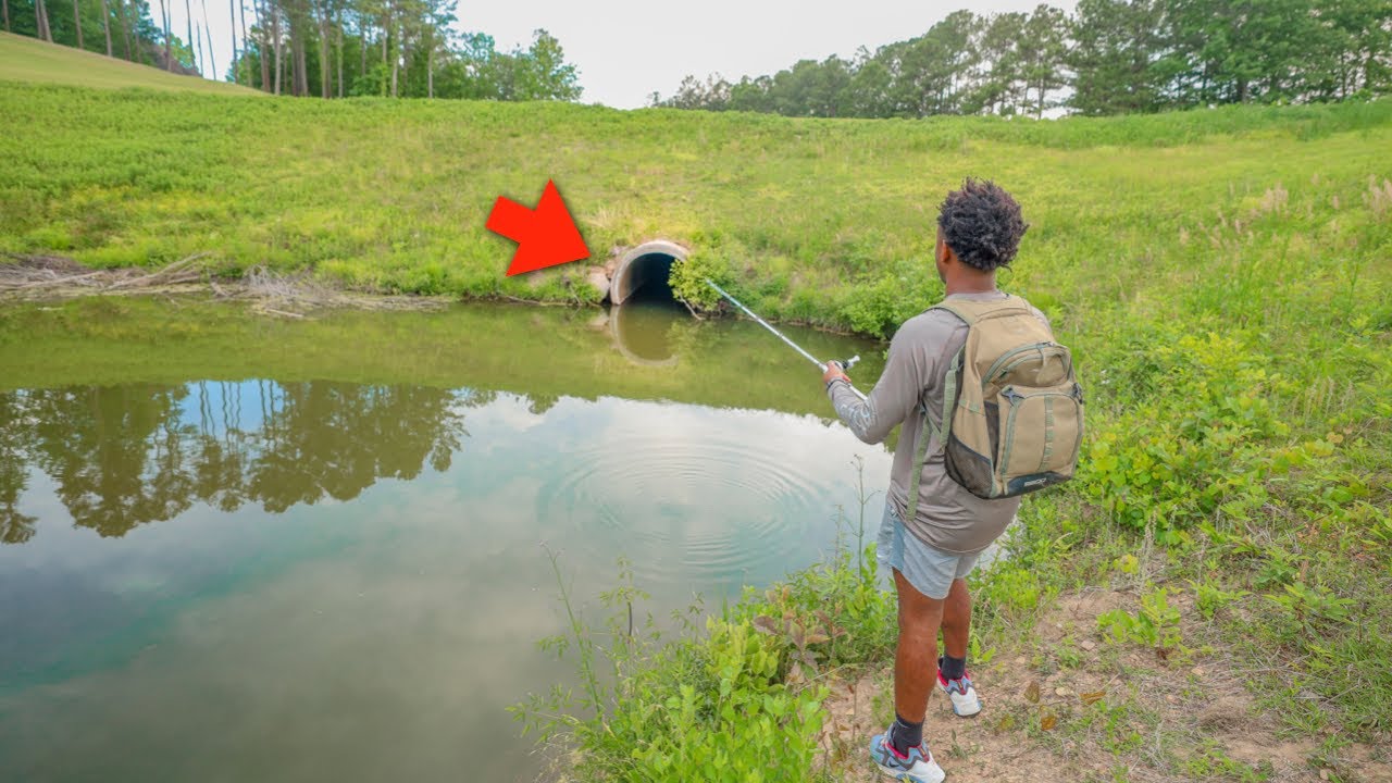 Texas Rig Fishing For BIG Spawning Bass (Catching GIANTS In Ponds ...