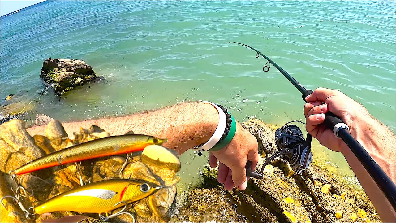 Pesca a Spinning in Mare d'Estate: Due Artificiali Sorprendenti e TANTE ...