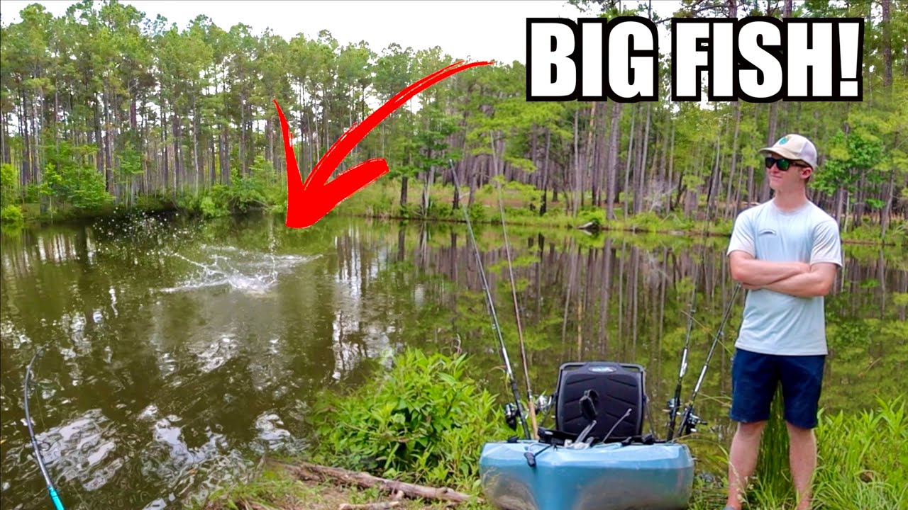 Kayak Fishing in a Hidden Forest Pond! What Will I Catch? - YouTube