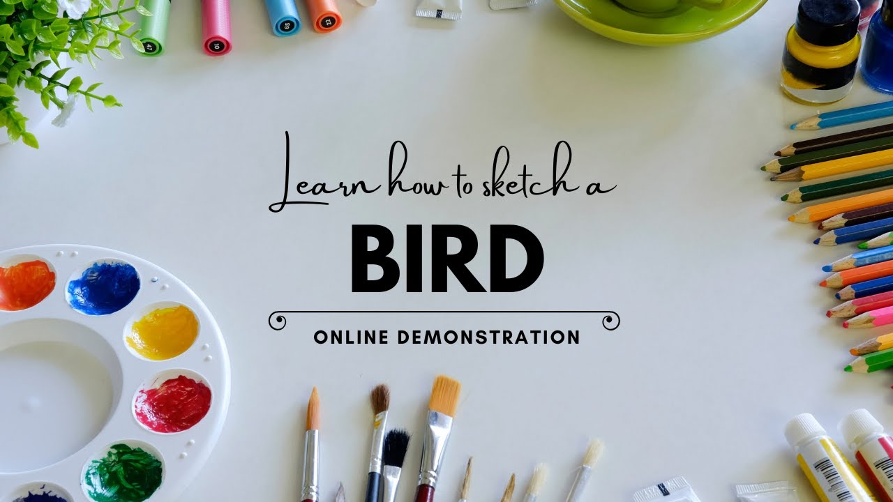 HOW TO SKETCH A BIRD (FOR BEGINNERS) - YouTube