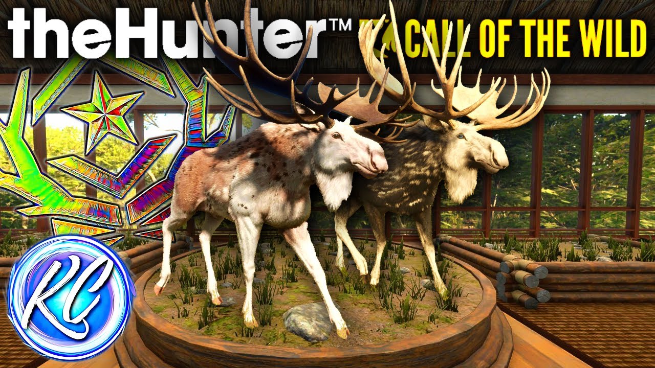 *Great One Moose MULTIMOUNT CONFIRMED!* What Will it Look Like?! | Call ...