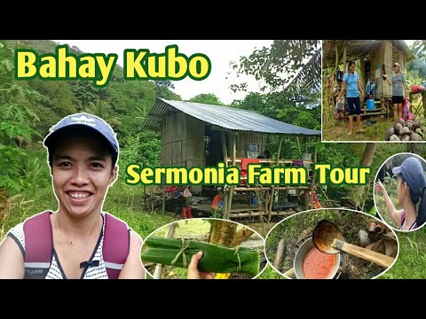 Farm Tour | Countryside Life | Bahay Kubo Sa Bukid | Tipid Che - YouTube