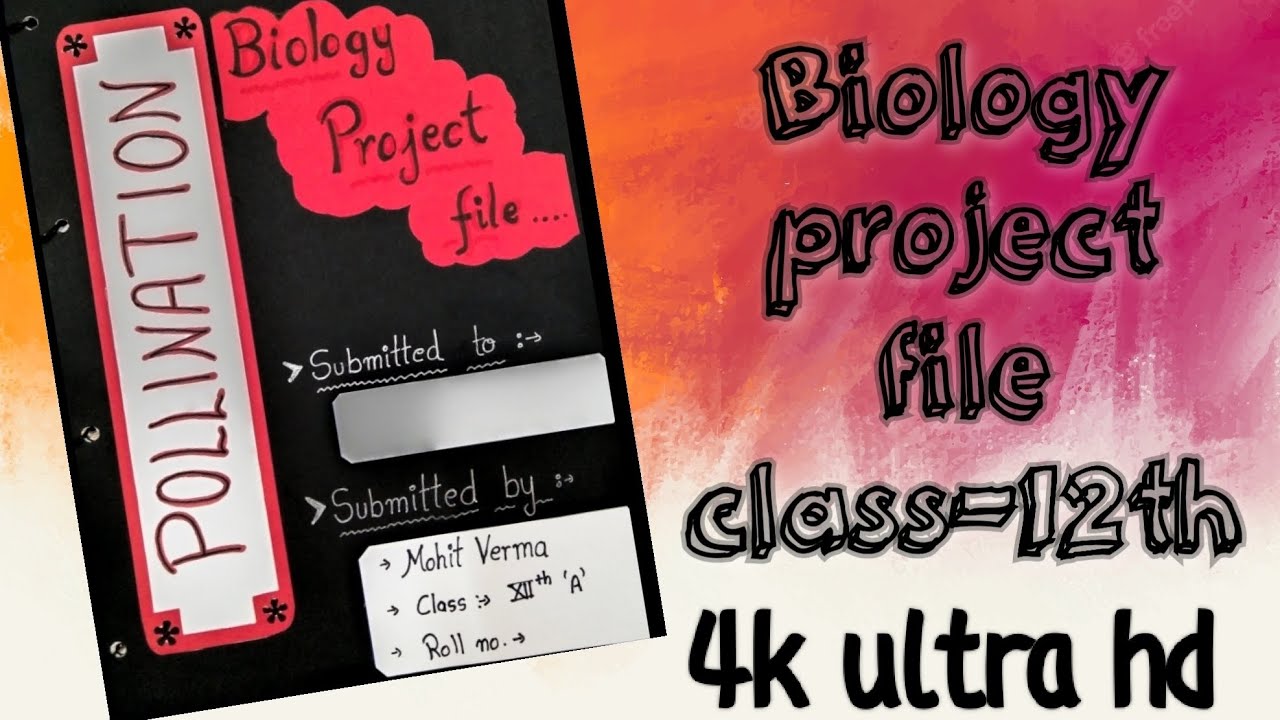 class 12th biology project file.. || pollination in plant||hbse||cbse ...