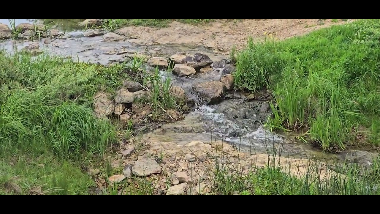 Slapić Šumećica - YouTube