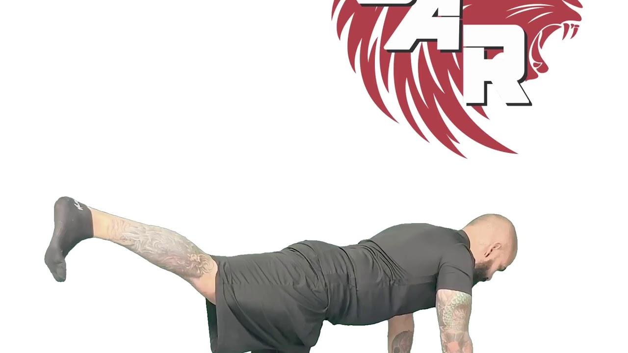 GLUTEOS PATADA INVERSA CUADRUPEDIA ISO - YouTube