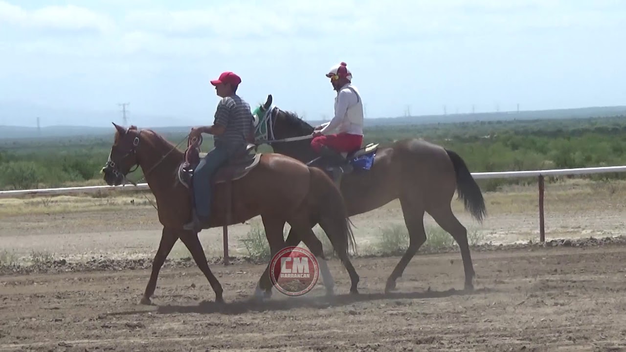 EL DUENDE VS LA MARIA MITOTES - YouTube