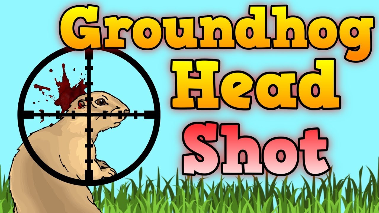 Headshot Groundhog with my Ruger .22 Air Rifle - YouTube