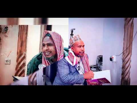 Dhaaltu ambiiya