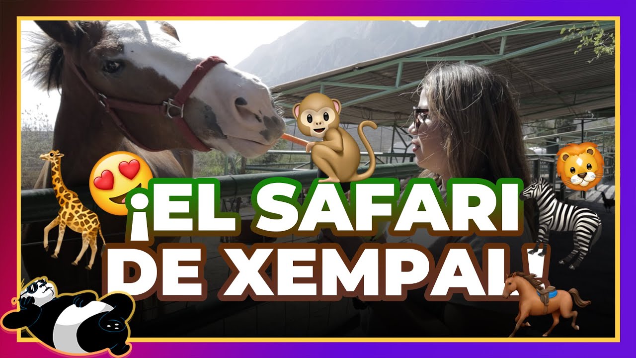 🦒 QUÉ HACER EN NUEVO LEÓN: PARQUE XENPAL | PANDA KOOL - YouTube