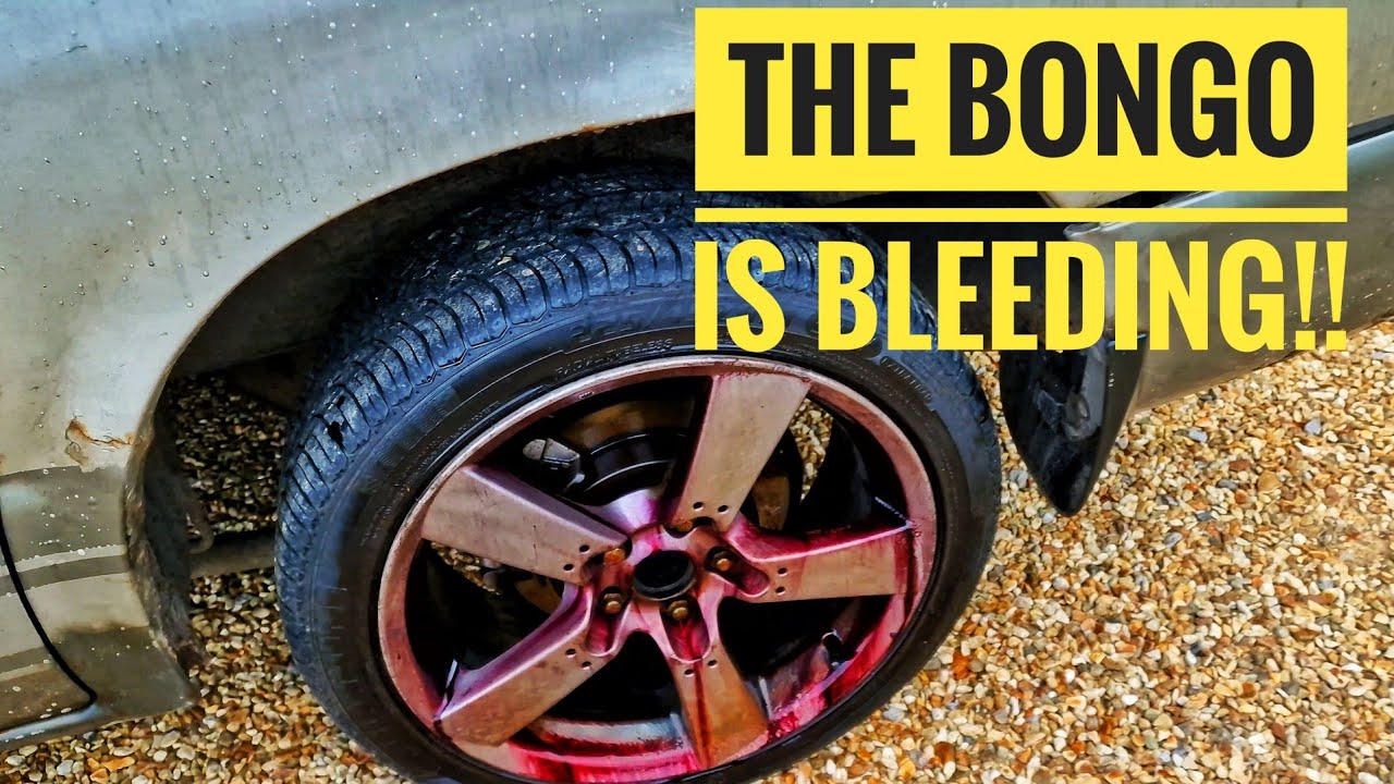 Getting the Bongo to bleed - YouTube