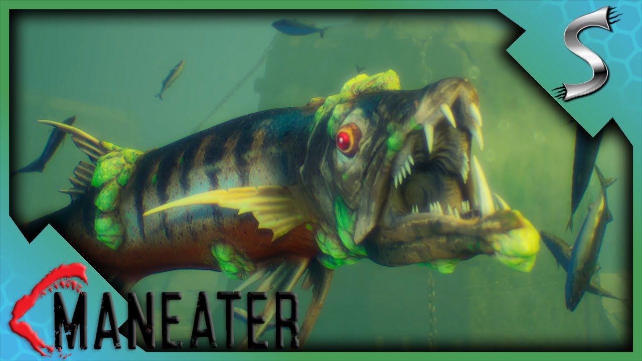 TAKING ON THE FIRST BOSS! THE APEX BARRACUDA! - Maneater [Gameplay E2 ...