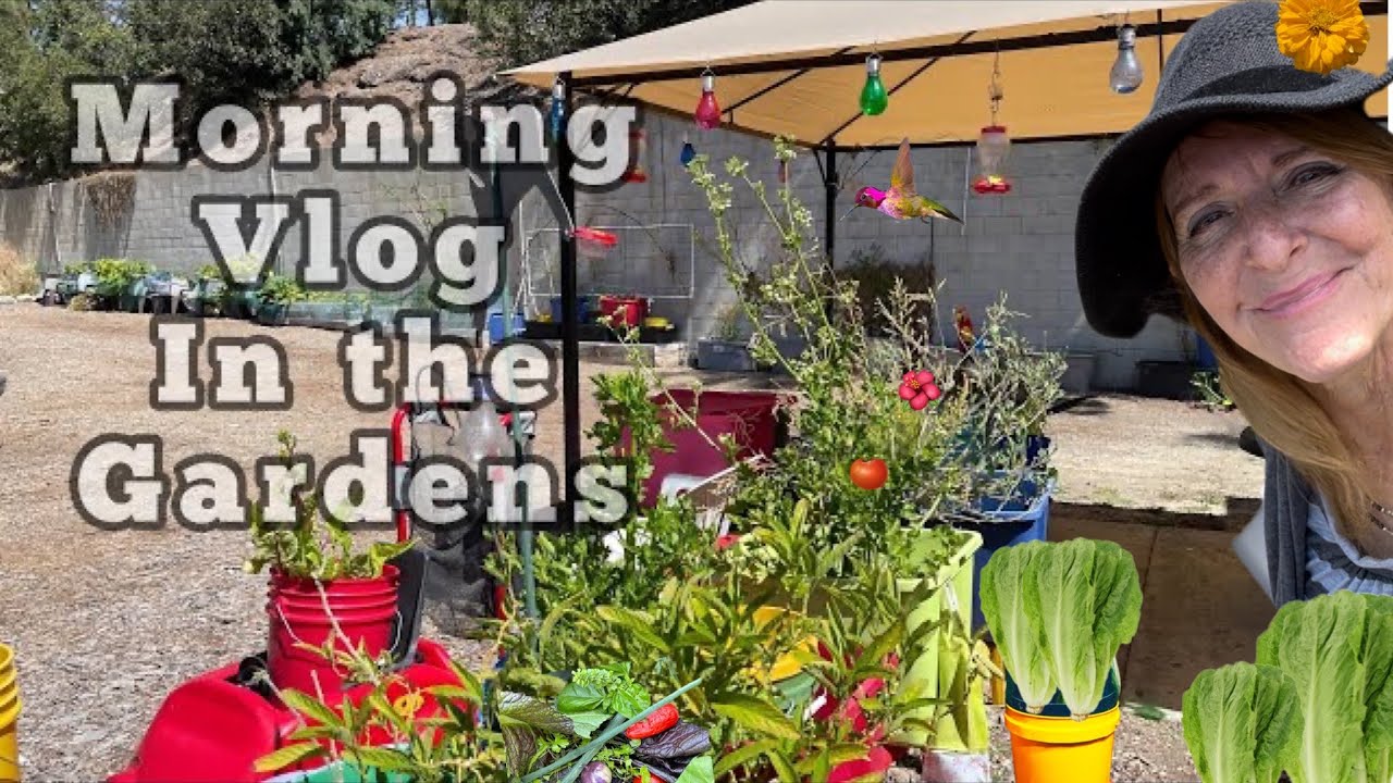 Vegetable Garden Talk * Container Gardening, Prepping, Protecting Tips ...