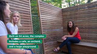 Whiting Forest of Dow Gardens Canopy Walk