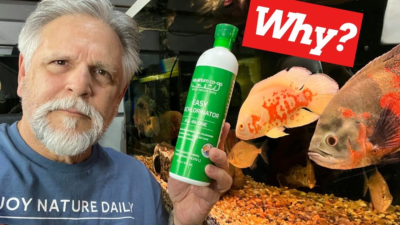 Do We Need Another Dechlorinator? [My *Honest Review* of Aquarium Co-Op ...