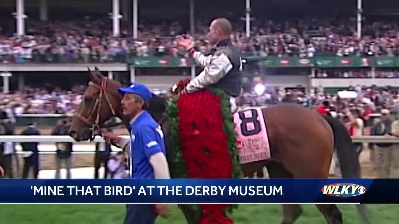 Derby 135 winner Mine That Bird to appear at Kentucky Derby Museum ...