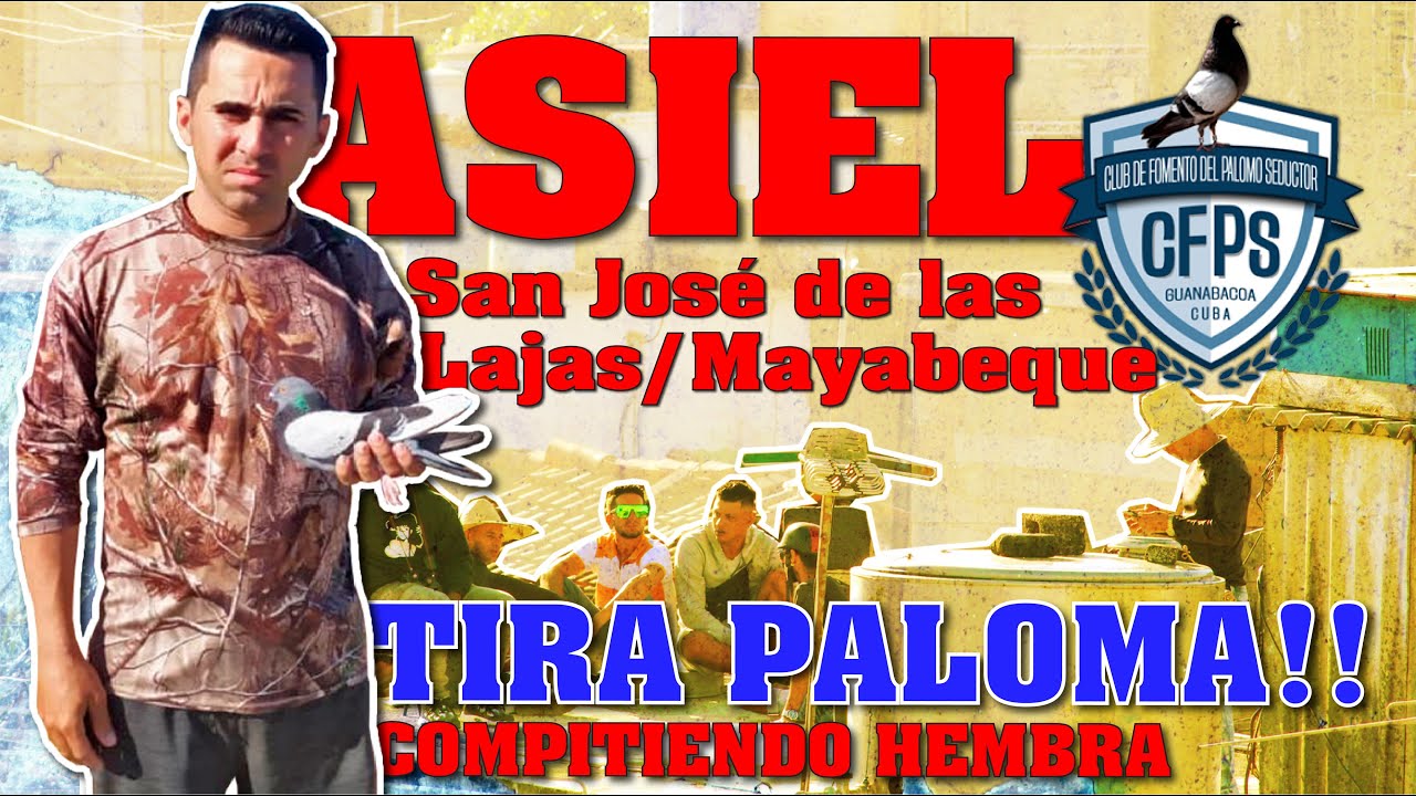 PALOMA HEMBRA de ASIEL TIRA PALOMA en COMPETENCIA 2023 - YouTube