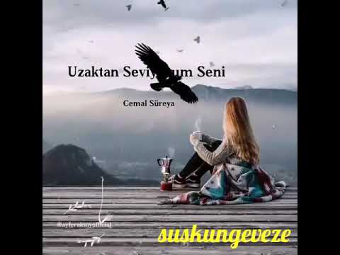 Uzaktan seviyorum seni..Cemal Süreya