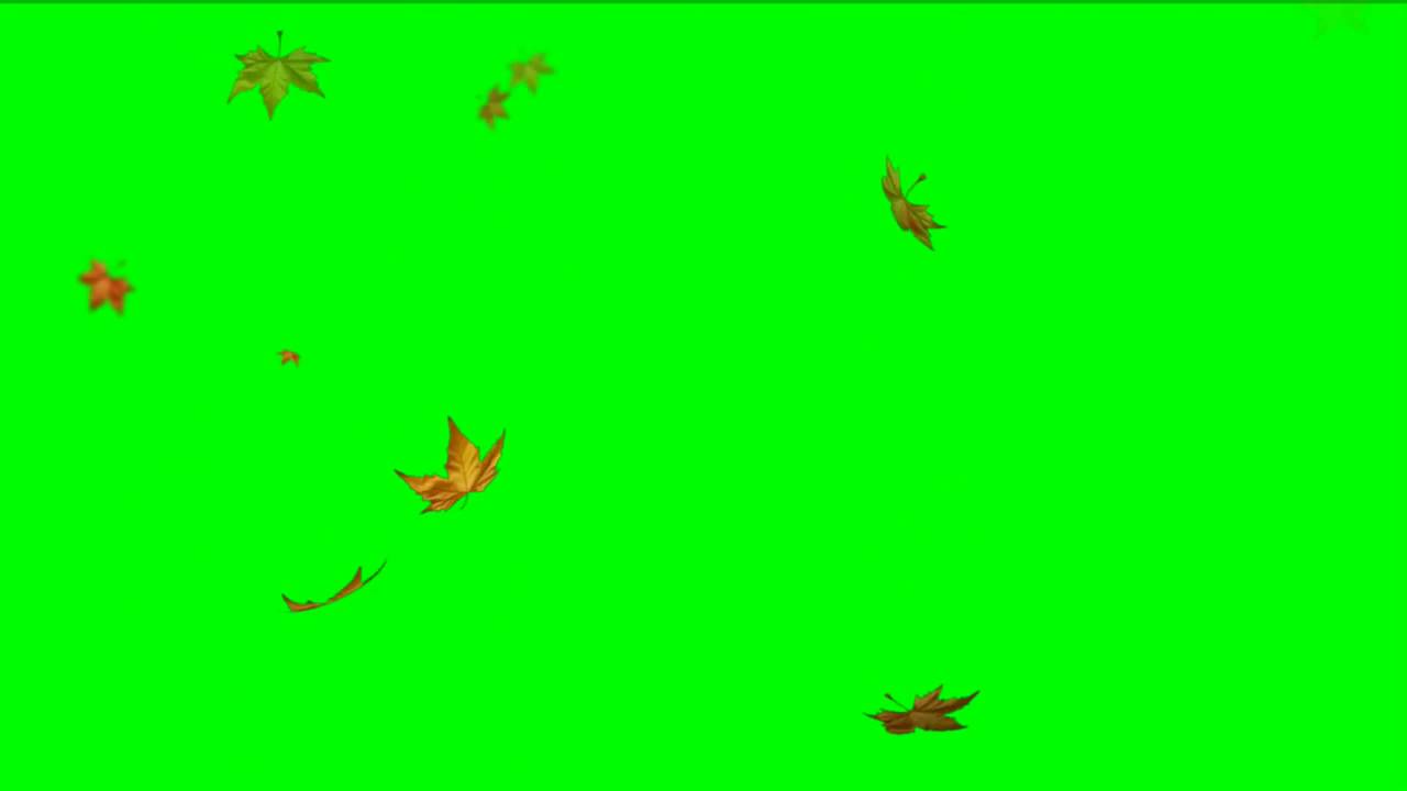 Green screen footage Falling Leaves HD - YouTube