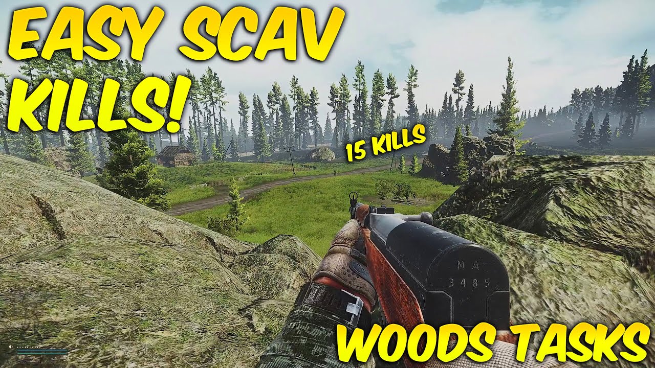 Easy Scav Kills On Woods! | Shootout Picnic Prapor Task | Escape From ...
