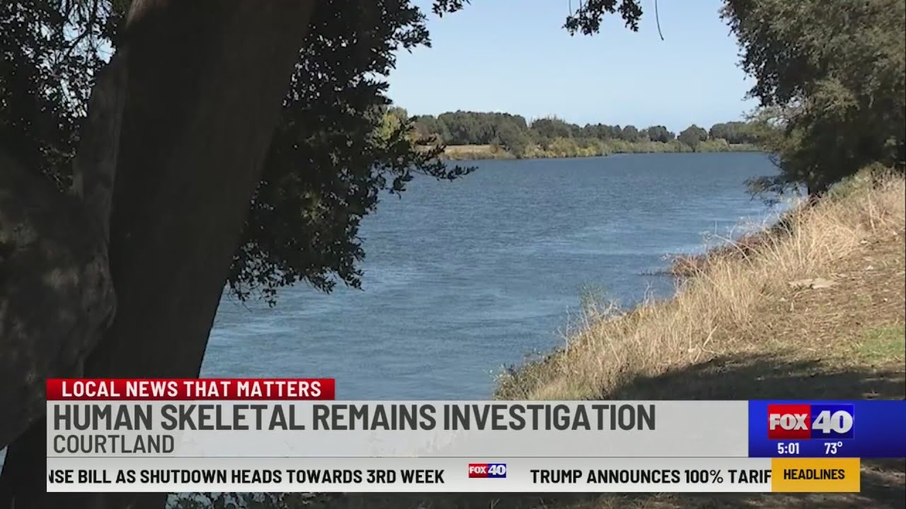 Sacramento County Sheriff's Office investigating skeletal remains in ...