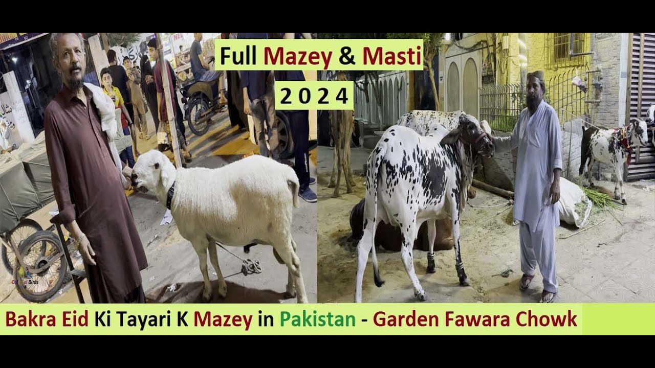 Bakra Eid Ki Tayari K Mazey in Pakistan - Garden Fawara Chowk Karachi ...