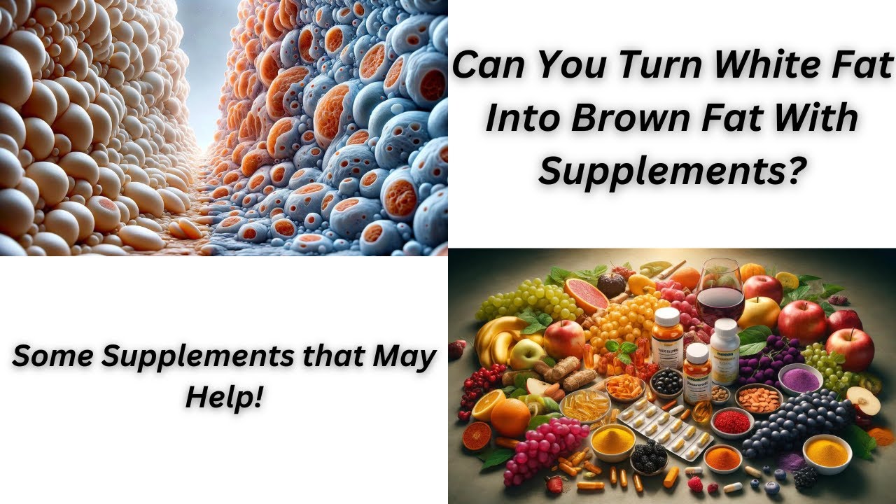 Can You Turn White Fat Into Brown Fat With Supplements? - Some ...