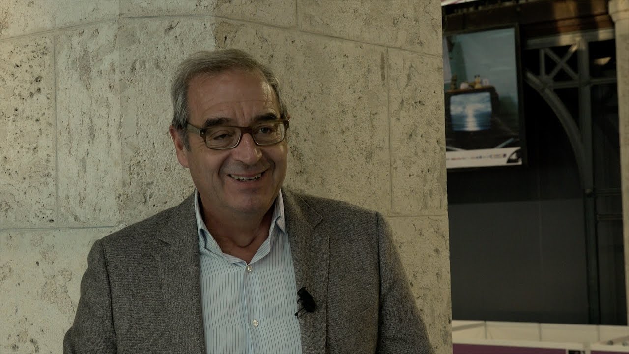 Pascal Picq - Premiers hommes : la nouvelle histoire de nos origines ...