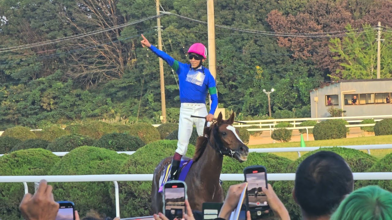 2024년 Jpn1 JBC 레이디스 클래식 위닝런 (요코야마 타케시 기수) - YouTube