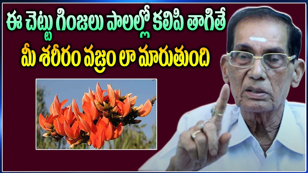 seeds that increase strength in muscles || Telugu health tips ...