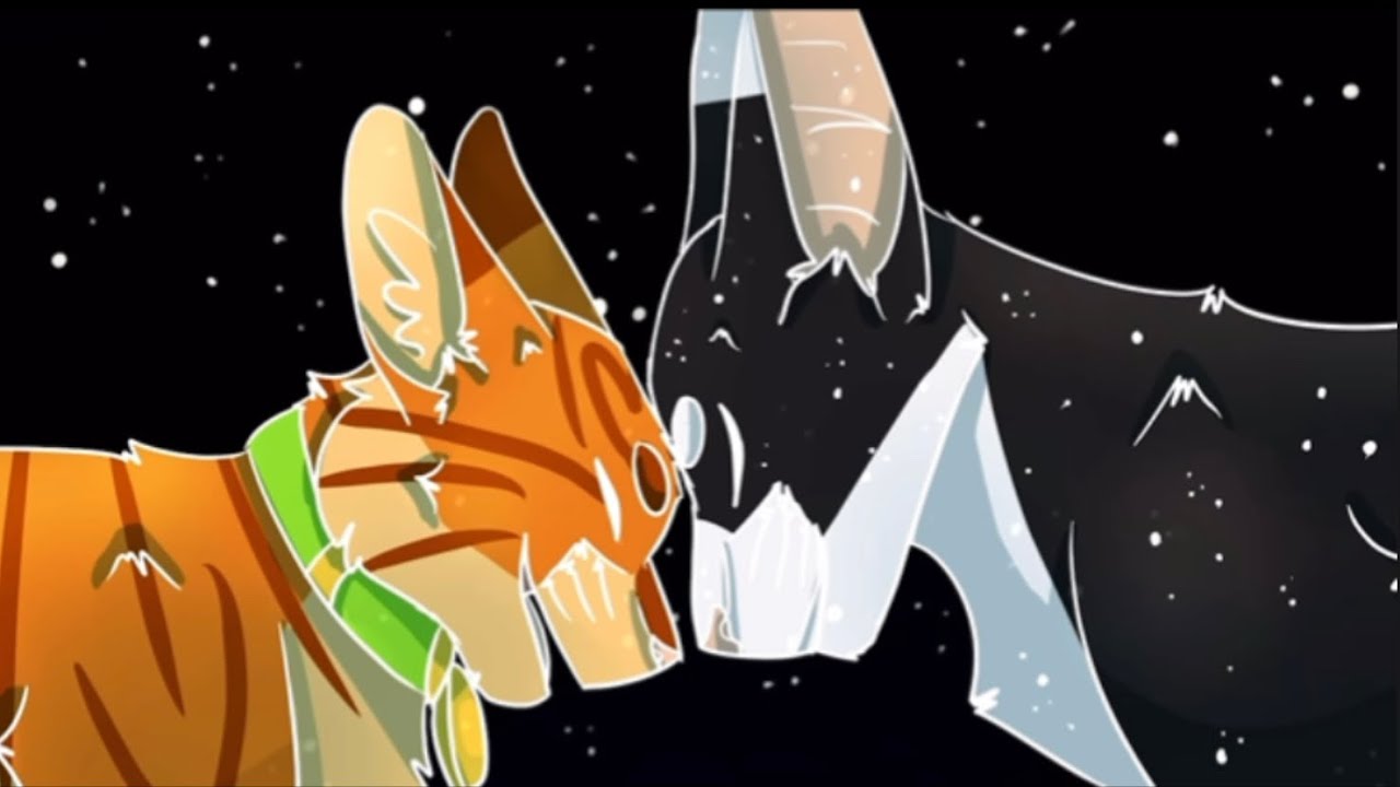 TallStar x Jake /Warrior cats/ - YouTube