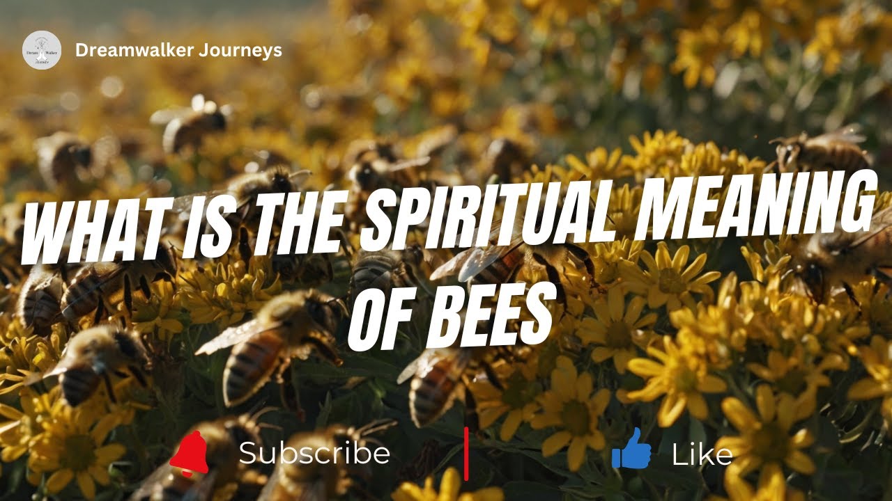 What is The Spiritual Meaning of Bees | Bee Spiritual Meaning - YouTube