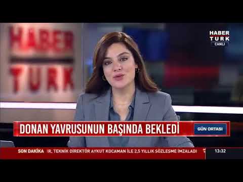 Annelik duygusu budur