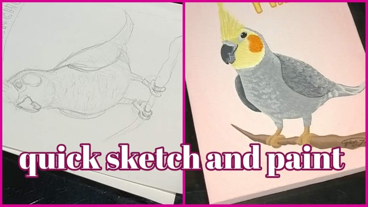 Quick sketch and paint of cockatiel bird - YouTube