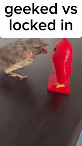 geeked vs locked in - YouTube