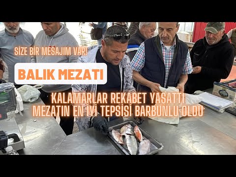 Şu çeşitler hafta sonu olsa yıkılır bu mezat 02.04.2024 #balık #mezat #balıkmezatı