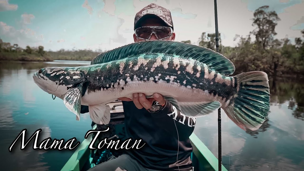 Casting Mama Toman - YouTube