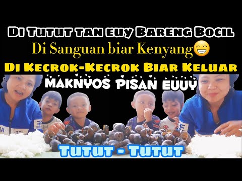 MAKAN SIPUT SAWAH PAKE NASI BERSAMA BOCIL ENAK BANGET