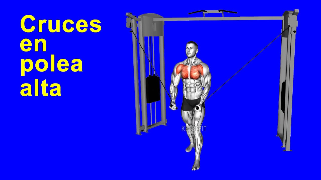Ejercita el pecho con la rutina cruces en polea alta - YouTube