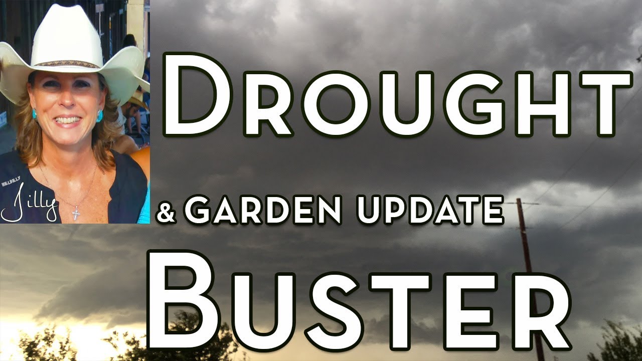 Drought Buster! - North Texas Vegetable Garden During a Drought - YouTube