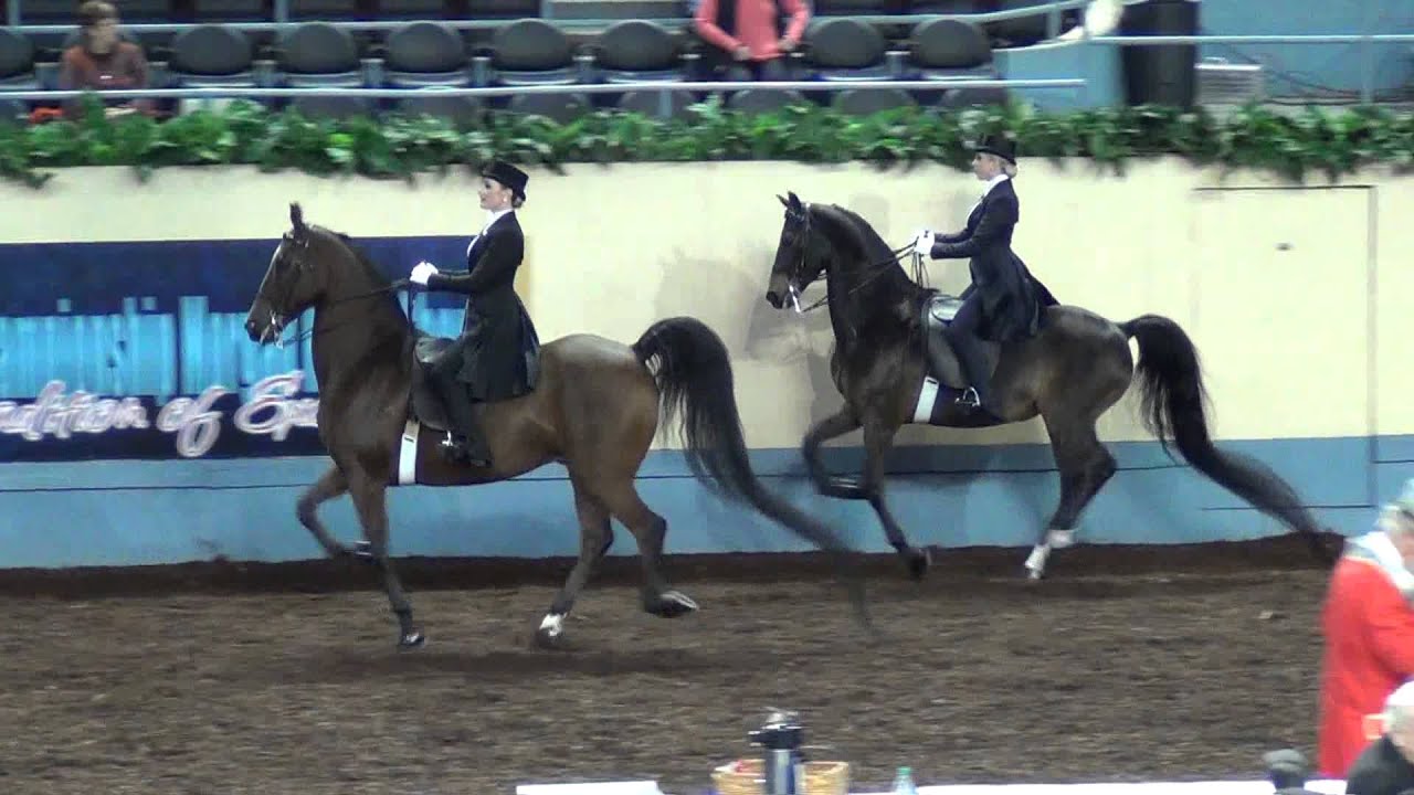 2013 AMHA Medal Final - YouTube