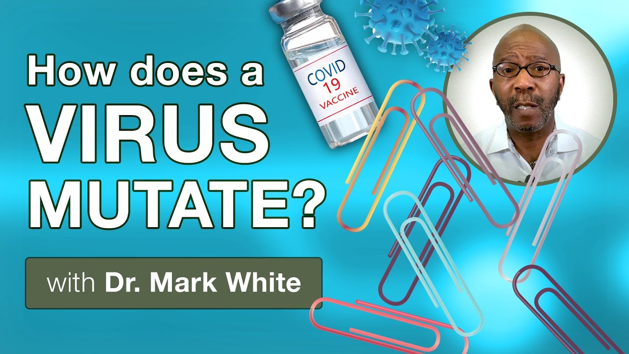 How does a virus mutate? (EXPLAINED) - YouTube
