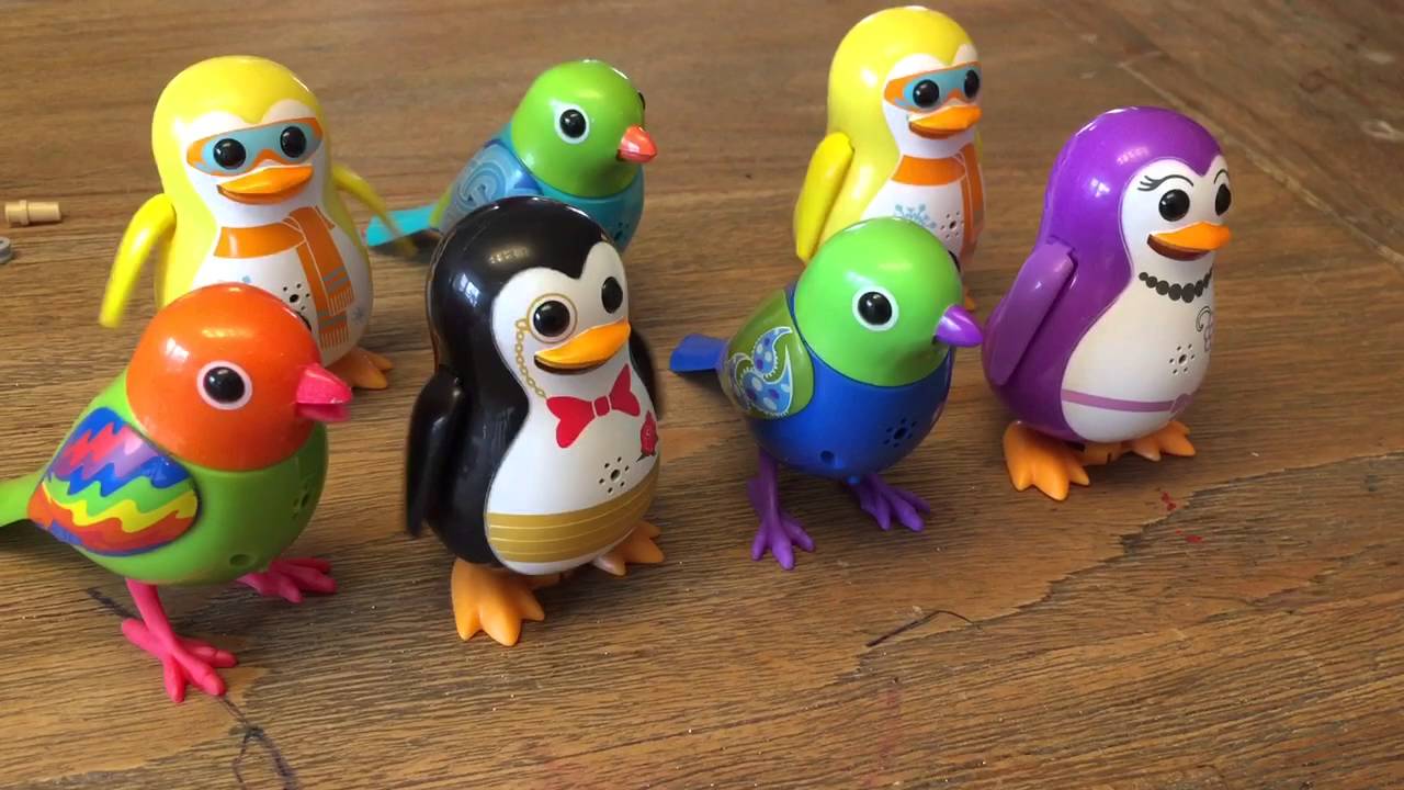 Digi birds - YouTube